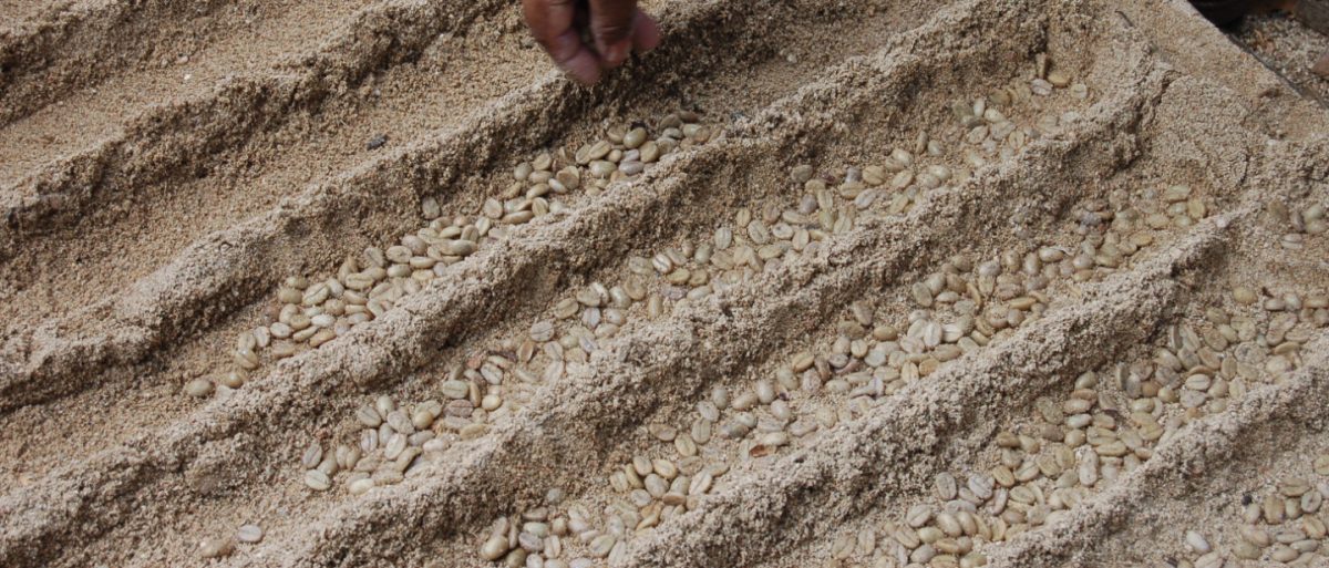 Business & Industry - Sun Coffee Roasters